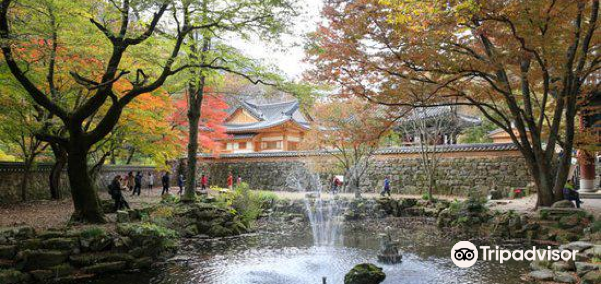 Jeongeup-si Travel Guide 2023 - Things to Do, What To Eat & Tips | Trip.com