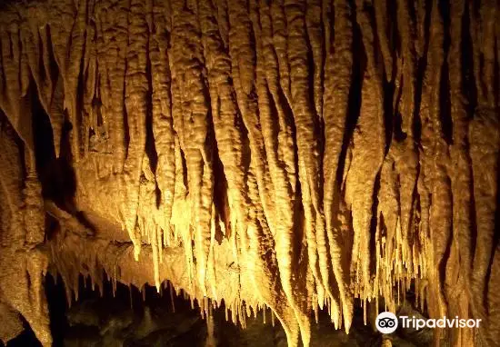 컬럼비아 여행 코스 & 인기 여행지 추천 | 트립닷컴