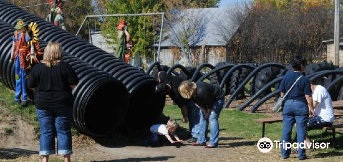 Tittabawassee Township Travel Guide 2024 - Things to Do, What To Eat ...