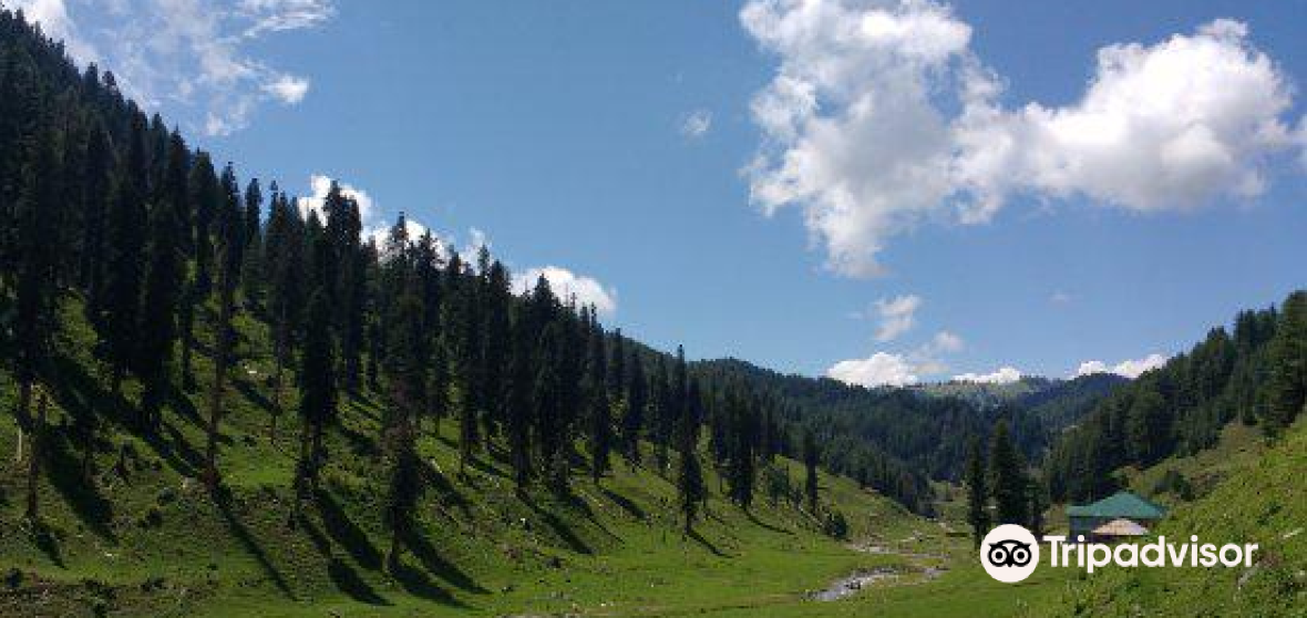 Doda Travel Guide 2023 - Things to Do, What To Eat & Tips | Trip.com