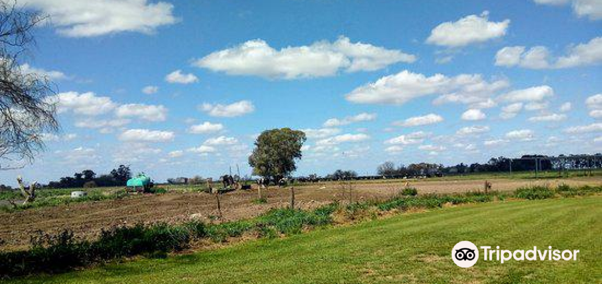 Suipacha Travel Guide 2023 - Things to Do, What To Eat & Tips | Trip.com