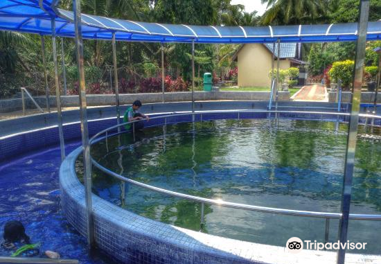 How to Spend 2 Days in Muar - A Complete Itinerary for Muar - Trip.com