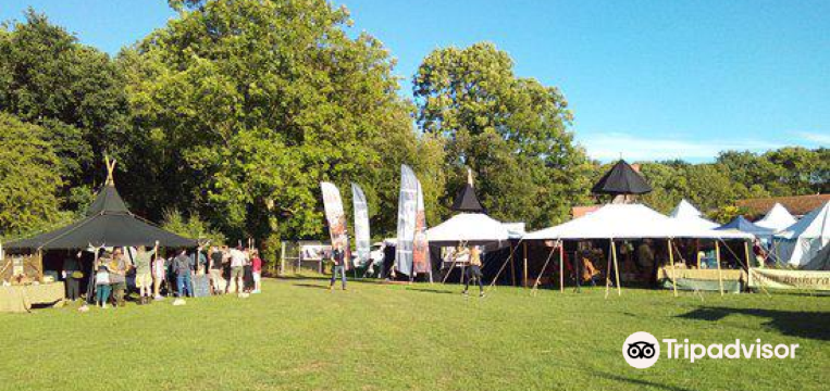 West Knoyle Travel Guide 2023 - Things to Do, What To Eat & Tips | Trip.com