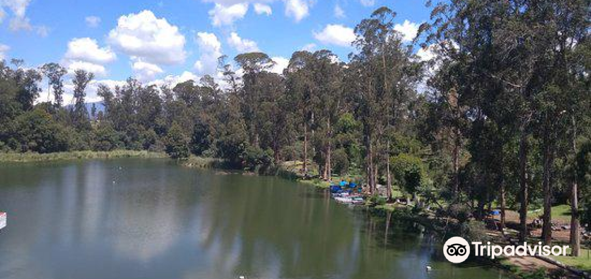 กิจกรรมน่าทำยอดนิยมในTepetitla de Lardizabalประจำปี 2023 - คู่มือท่อง ...