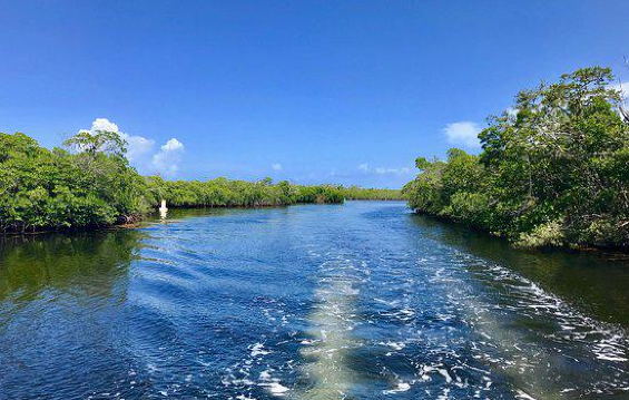North Key Largo 2022 Top Things to Do - North Key Largo Travel Guides ...