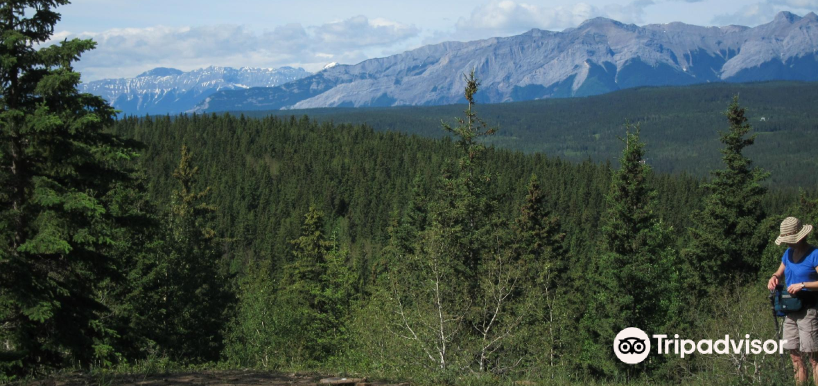 10 Best Things to do in Hinton, Alberta - Hinton travel guides 2021 ...