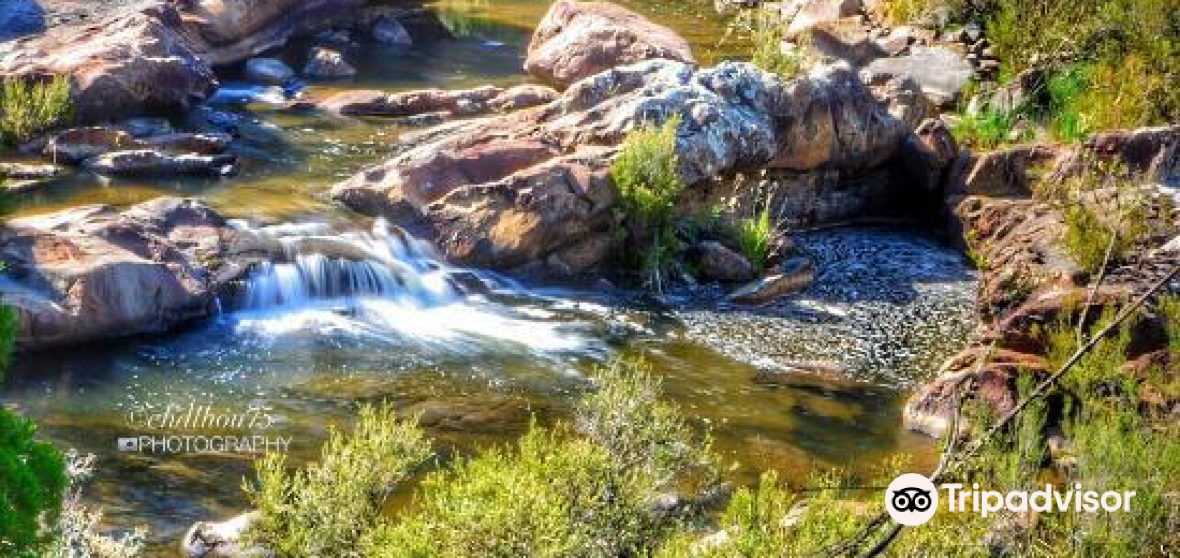 กิจกรรมน่าทำยอดนิยมในKowenประจำปี 2023 - คู่มือท่องเที่ยวKowen - แนะนำ ...