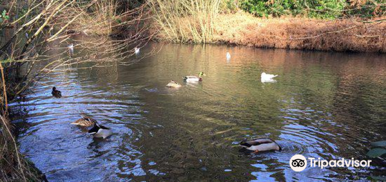 Teigngrace Travel Guide 2023 - Things to Do, What To Eat & Tips | Trip.com