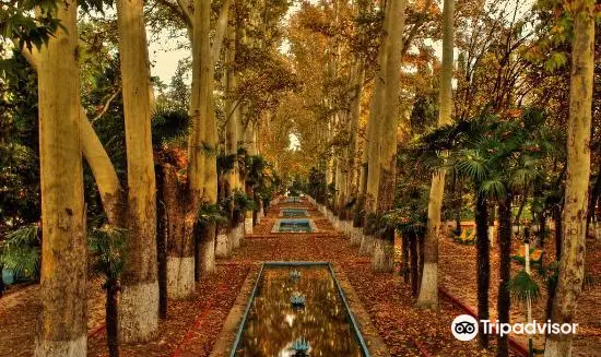 กิจกรรมน่าทำยอดนิยมในMingecevirประจำปี 2022 - คู่มือท่องเที่ยว ...