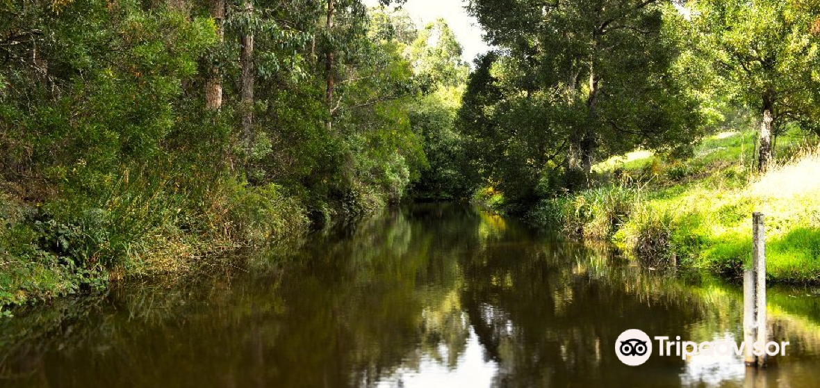 Barramunga Travel Guide 2023 - Things to Do, What To Eat & Tips | Trip.com