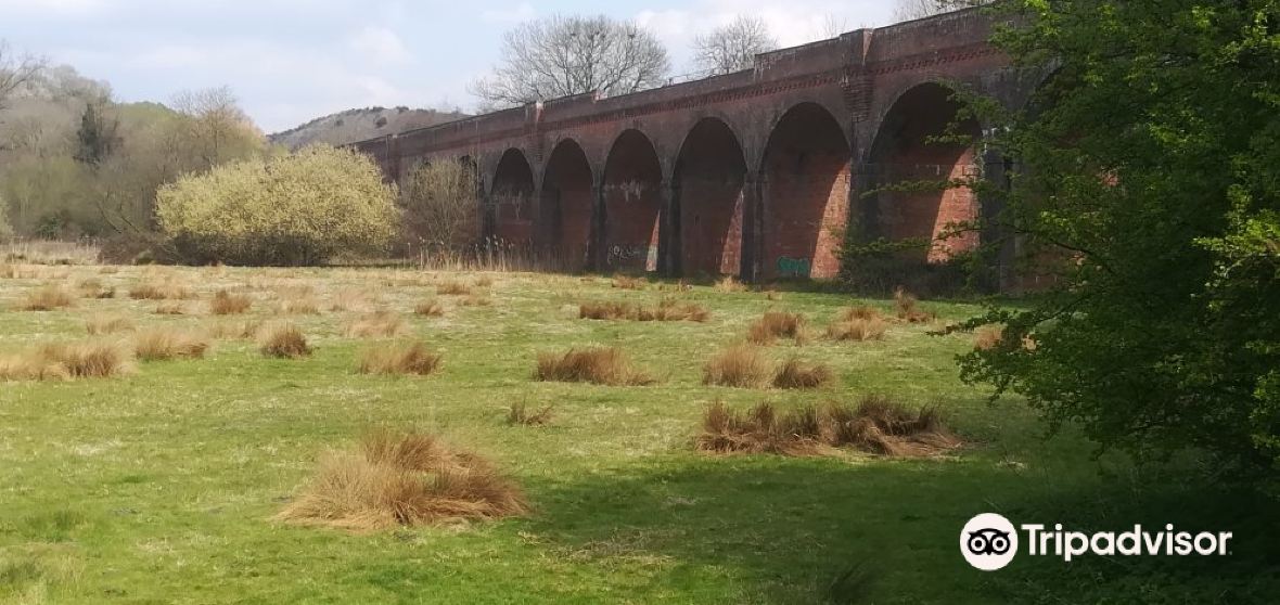 กิจกรรมน่าทำยอดนิยมในCompton and Shawfordประจำปี 2023 - คู่มือท่อง ...