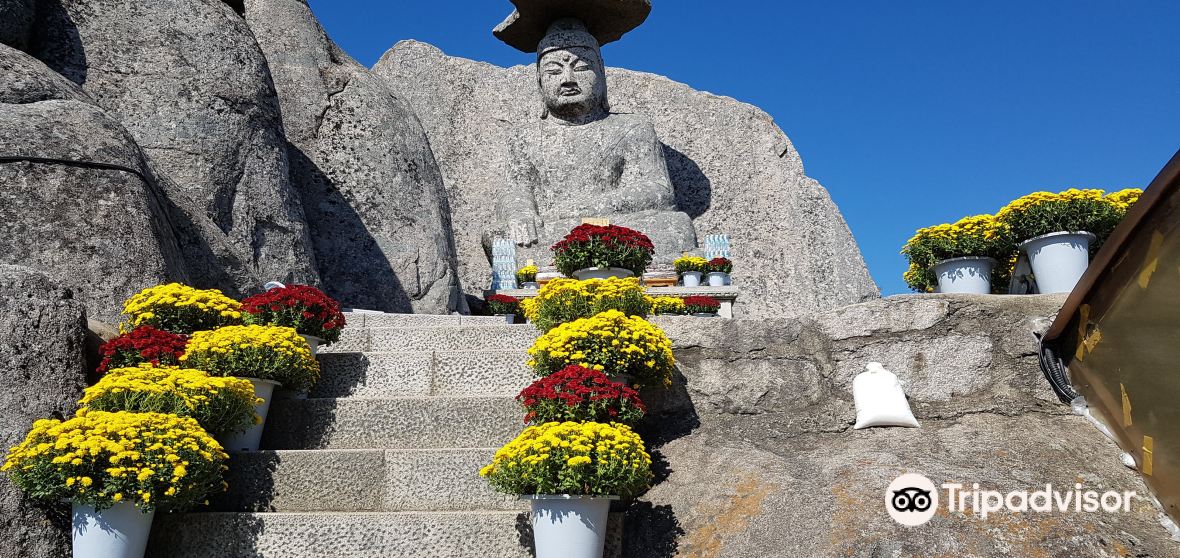 Gyeongsan-si 2022 Top Things to Do - Gyeongsan-si Travel Guides - Top ...