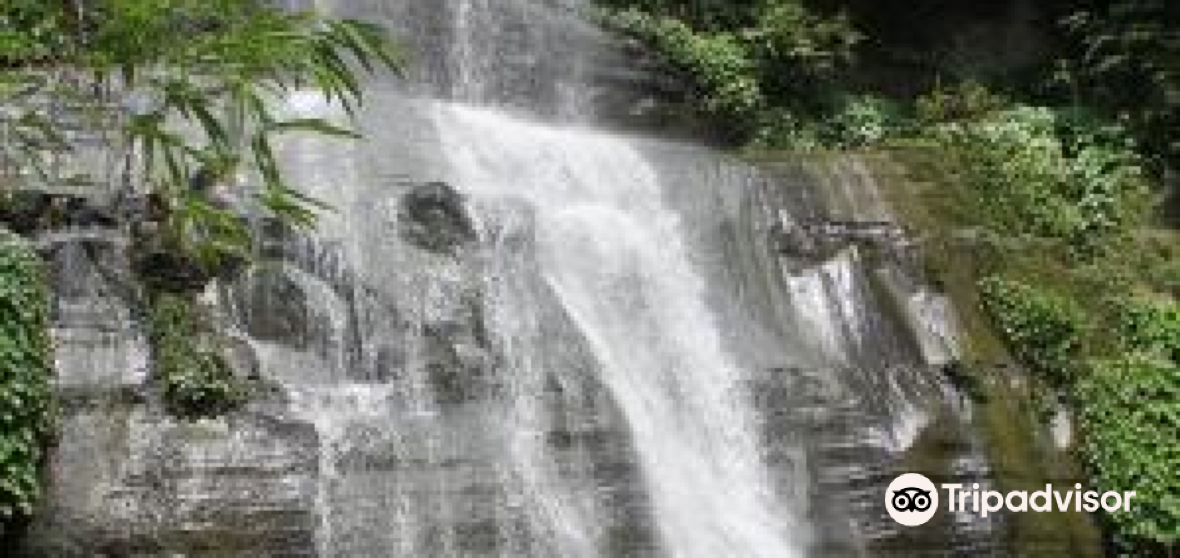 Sreemangal Upazila Travel Guide 2023 - Things to Do, What To Eat & Tips ...