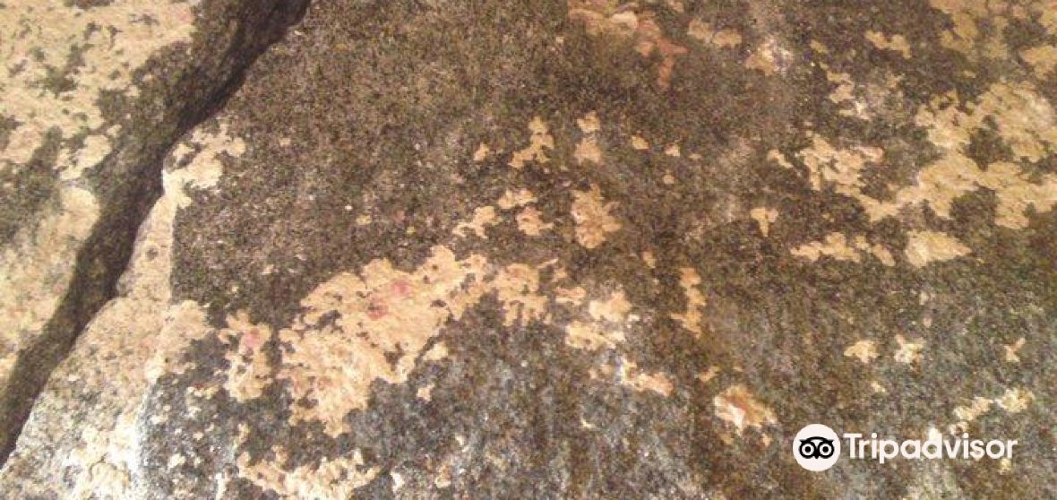 Bailey Town 2023 Top Things to Do - Bailey Town Travel Guides - Top ...