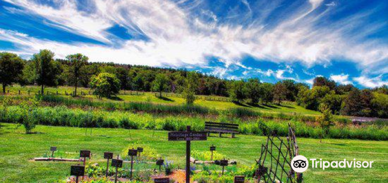 Scandia Travel Guide 2023 - Things to Do, What To Eat & Tips | Trip.com