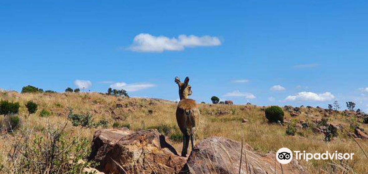 Thabazimbi Travel Guide 2024 - Things to Do, What To Eat & Tips | Trip.com