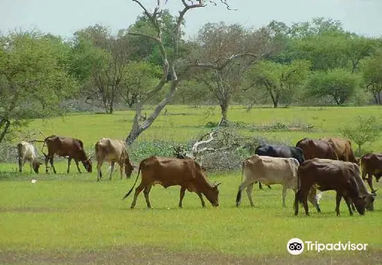 Kabushiya 여행 코스 & 인기 여행지 추천 | 트립닷컴