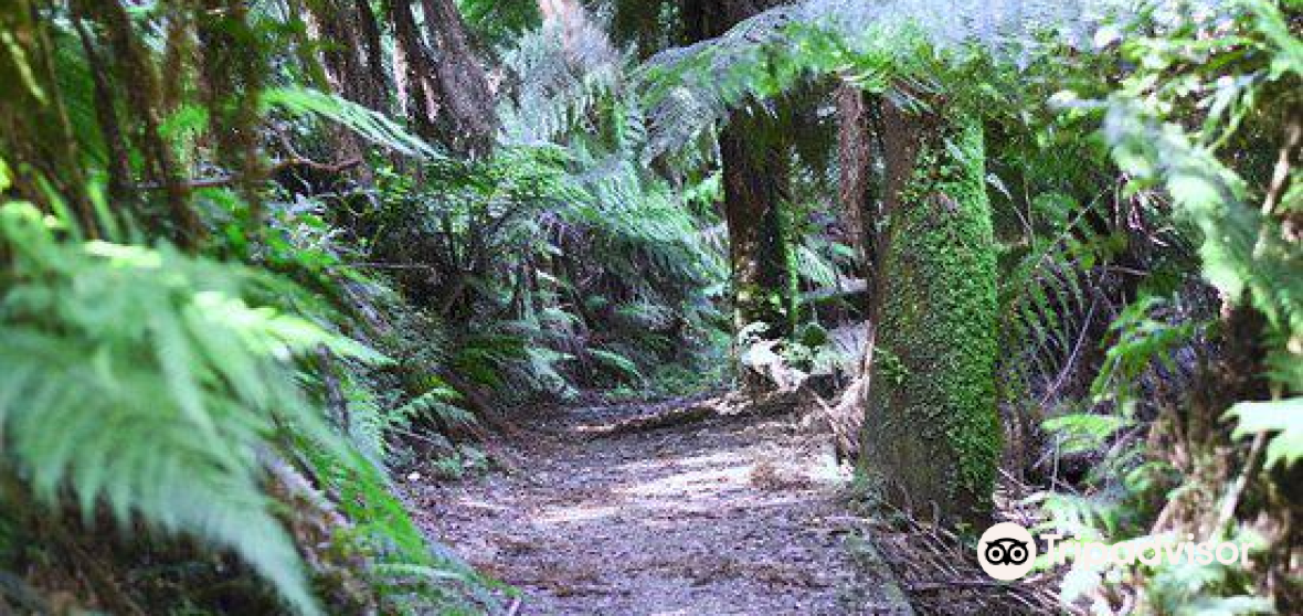 Warragul 2023 Top Things to Do - Warragul Travel Guides - Top ...