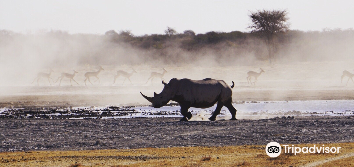 แนะนำการเดินทาง Serowe 2023 - สิ่งที่ควรทำ, อาหารที่ควรรับประทาน & ทิป ...