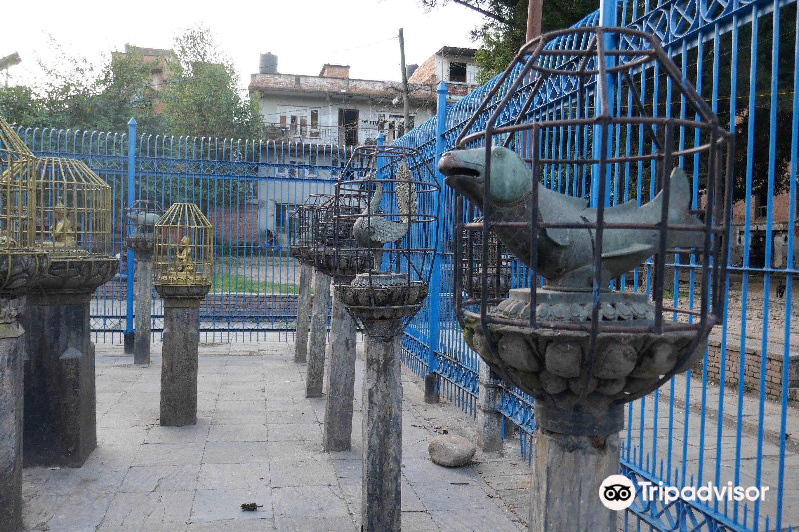 10 CLOSEST Hotels Near Chhampi Devi Temple - Karyabinayak | Trip.com