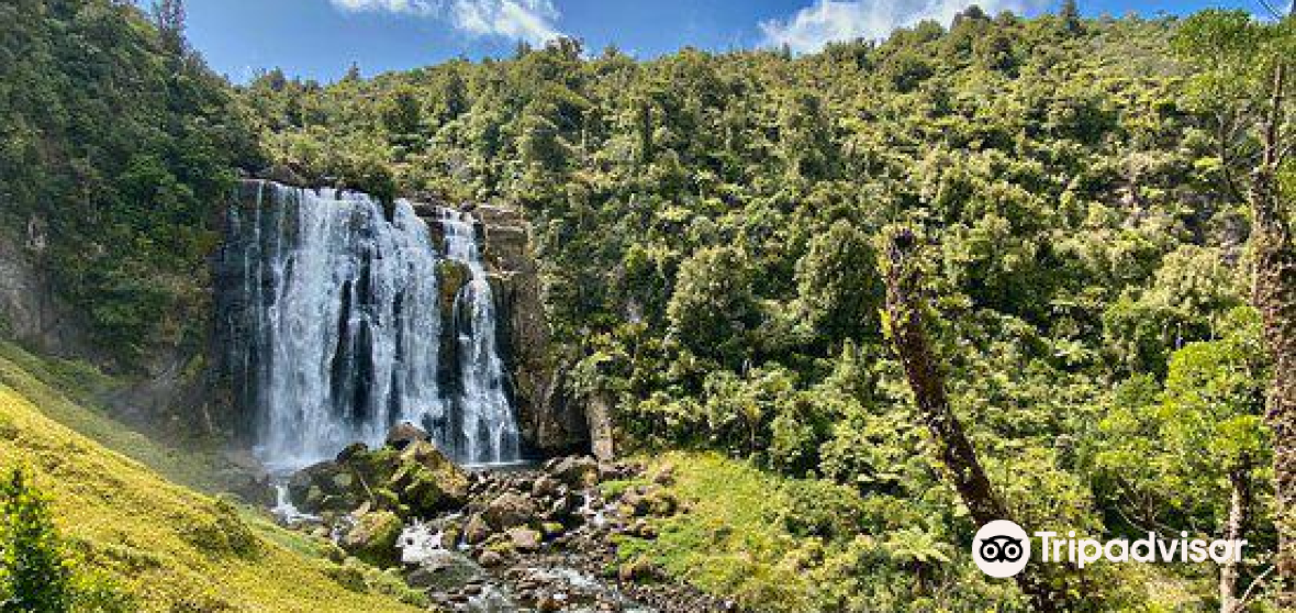 Te Anga 2023 인기 명소 - Te Anga 트립 가이드 - Te Anga 인기 명소 입장권 추천, 호텔, 가 볼 만한 ...