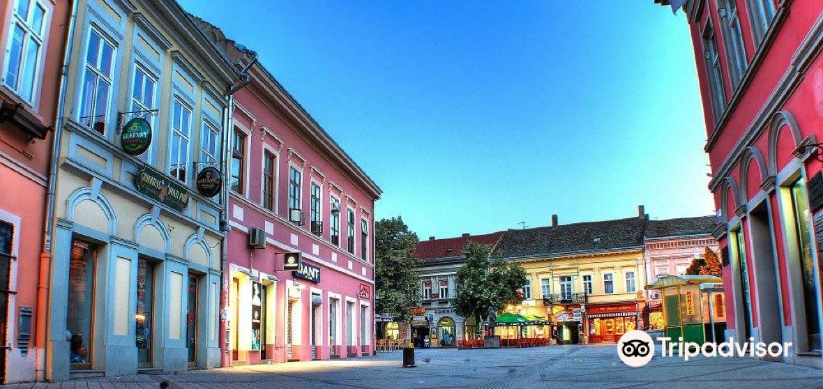 Veternik Travel Guide 2023 - Things to Do, What To Eat & Tips | Trip.com