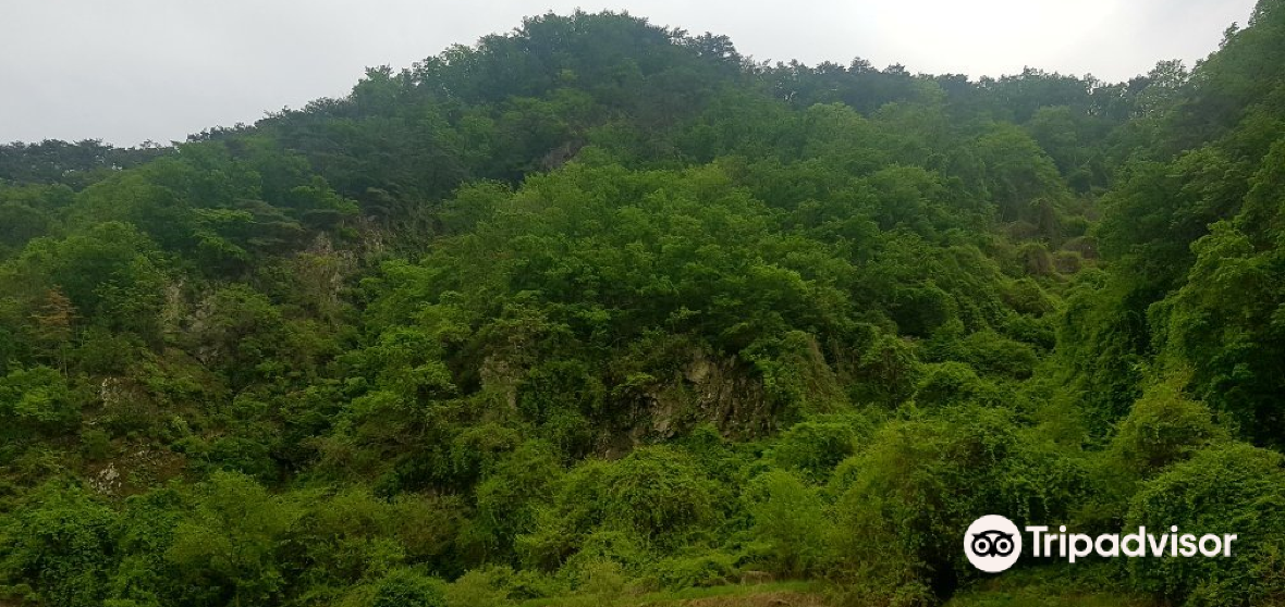 10 Best Things to do in Wonju, Gangwon-do - Wonju travel guides 2021 ...