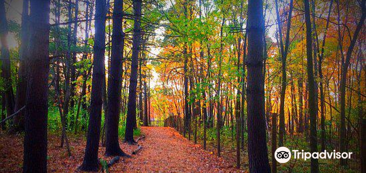 Granger Township Travel Guide 2023 - Things to Do, What To Eat & Tips ...