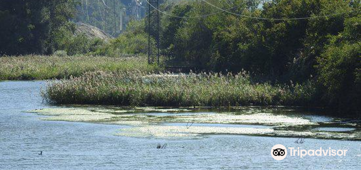 กิจกรรมน่าทำยอดนิยมในGroneประจำปี 2023 - คู่มือท่องเที่ยวGrone - แนะนำ ...