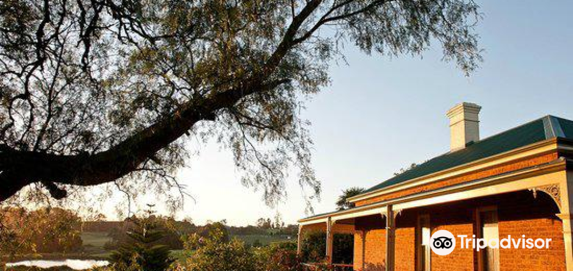 Wandin North Travel Guide 2023 - Things to Do, What To Eat & Tips ...