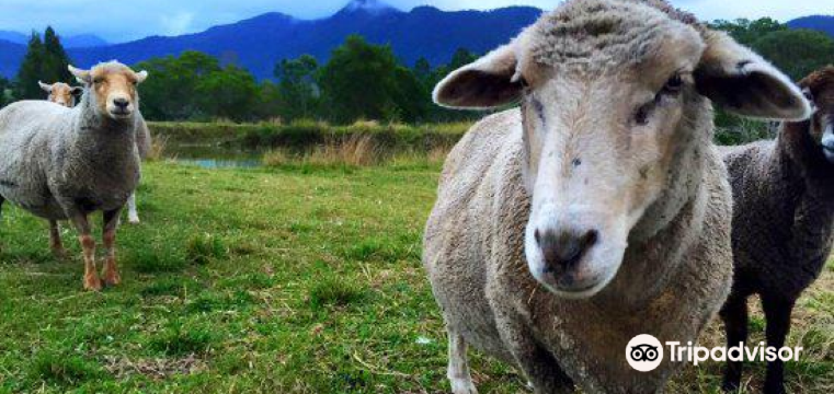 แนะนำการเดินทาง Mount Samson 2024 - สิ่งที่ควรทำ, อาหารที่ควรรับประทาน ...