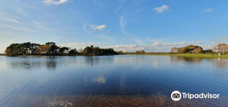 East Boldre 2023 Top Things to Do - East Boldre Travel Guides - Top ...