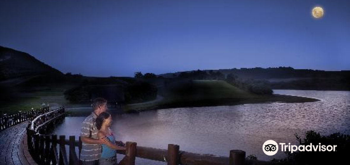 10 Best Things to do in Port Alfred, Western District - Port Alfred ...