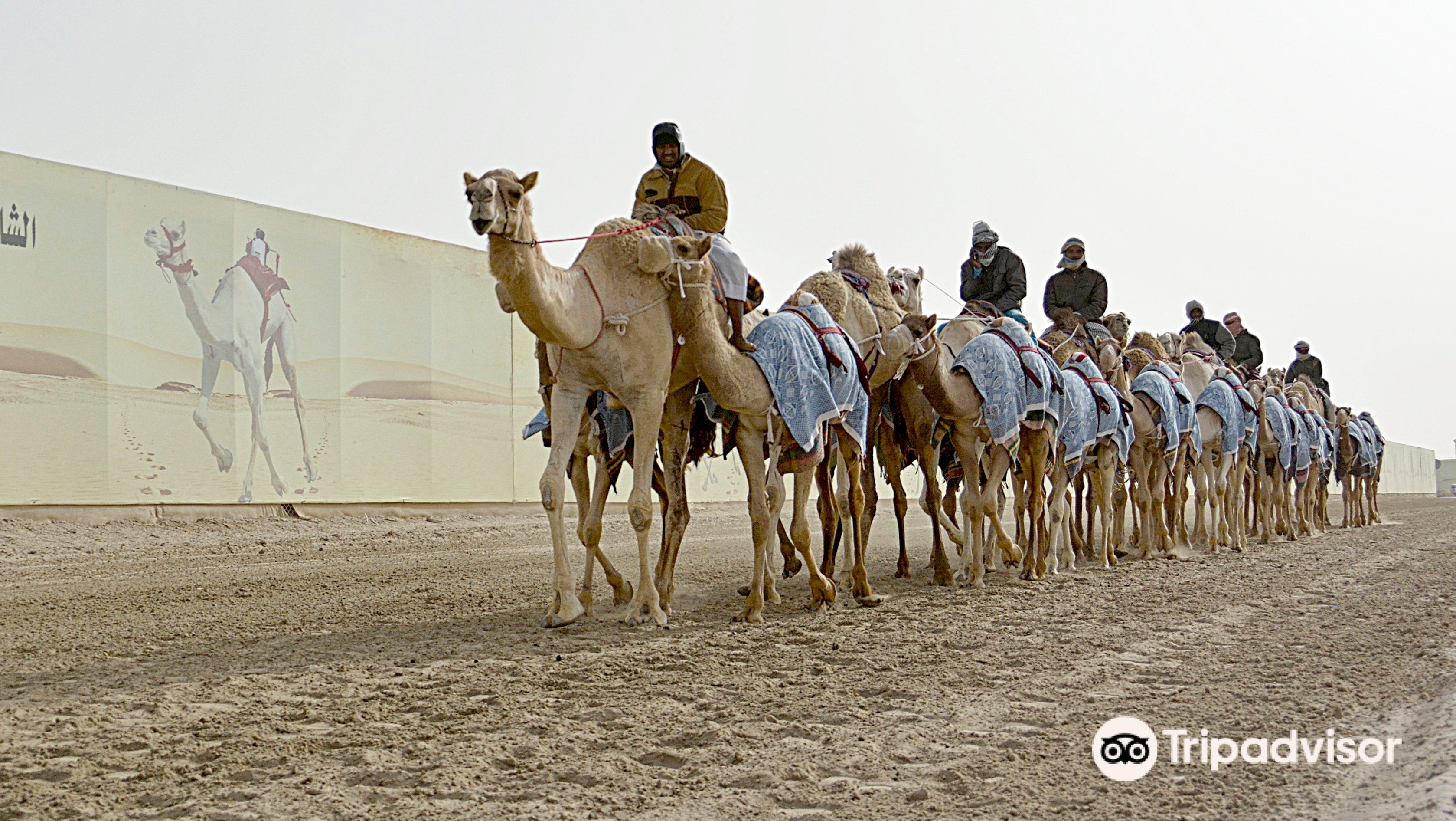 7 Days in Doha: What to Do and See in Doha - Trip.com