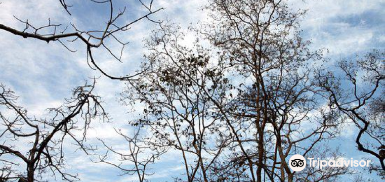 Kalamboli 2023 Top Things to Do - Kalamboli Travel Guides - Top ...