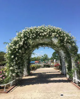 รีวิวที่เที่ยวIna Choseishiko Memorial Park - ตั๋วIna Choseishiko ...