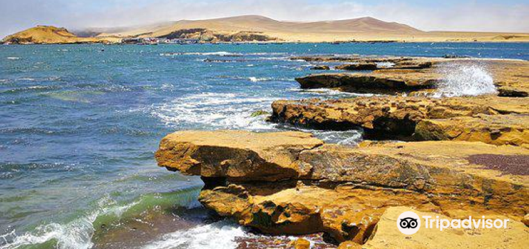 10 Best Things to do in Paracas, Ica - Paracas travel guides 2022– Trip.com