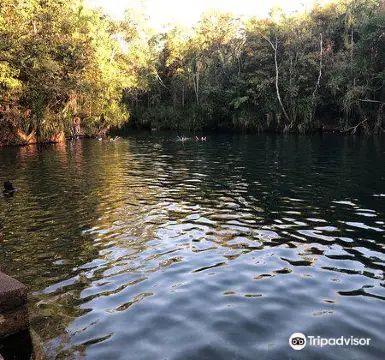 10 Best Things to do in Humpty Doo, Northern Territory - Humpty Doo ...