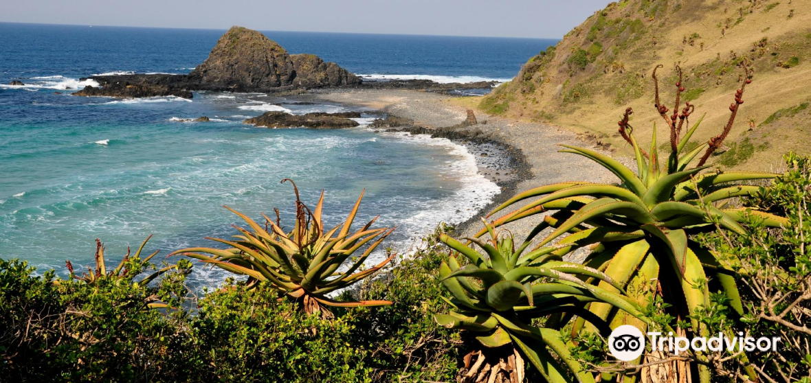 Transkei District Travel Guide 2023 - Things to Do, What To Eat & Tips ...