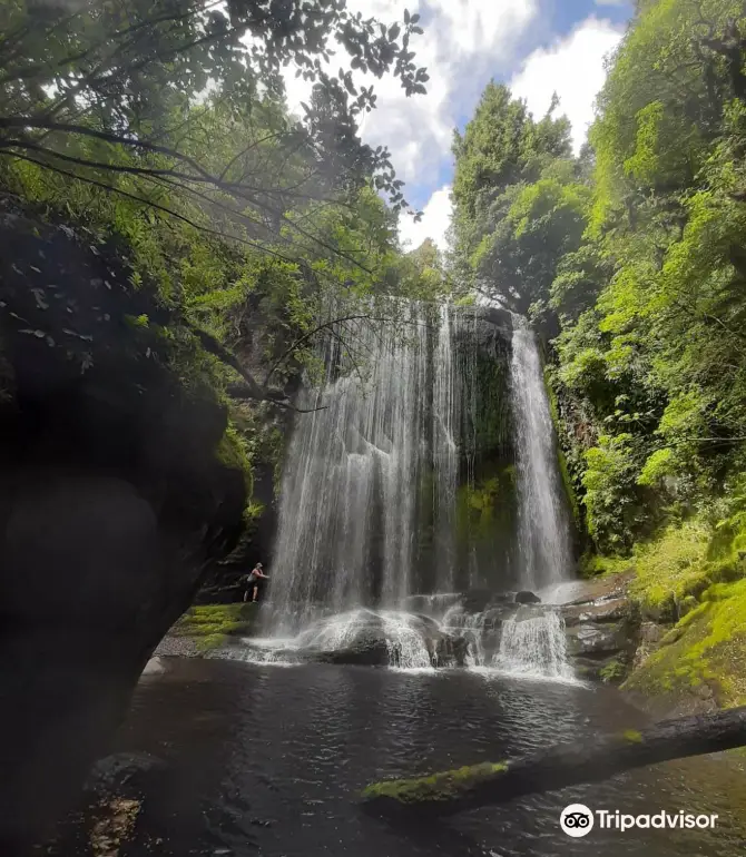 10 Best Things to do in Maungapohatu, Murupara - Maungapohatu travel ...