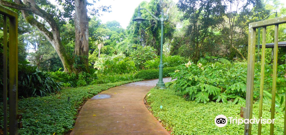 Wheeler Army Airfield Travel Guide 2023 - Things to Do, What To Eat ...