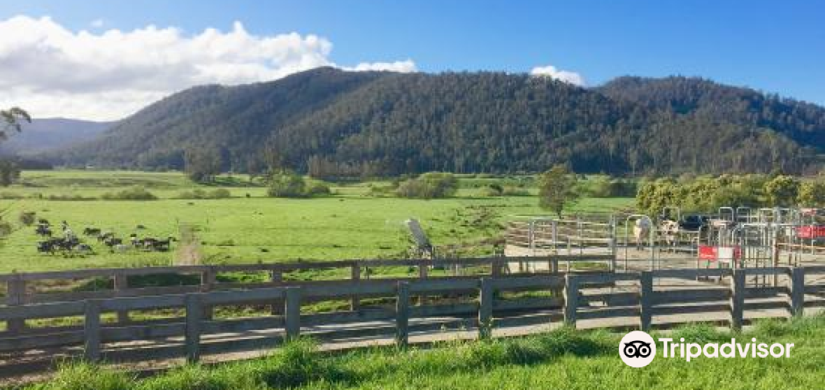 Pyengana Travel Guide 2023 - Things to Do, What To Eat & Tips | Trip.com