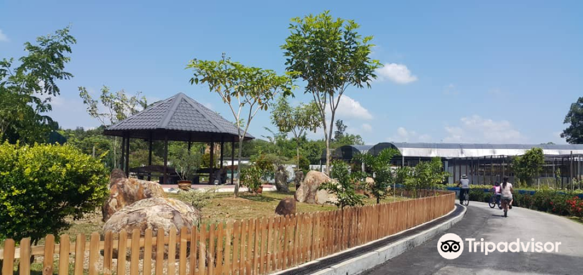 Samarahan Division 2023 Top Things to Do - Samarahan Division Travel ...