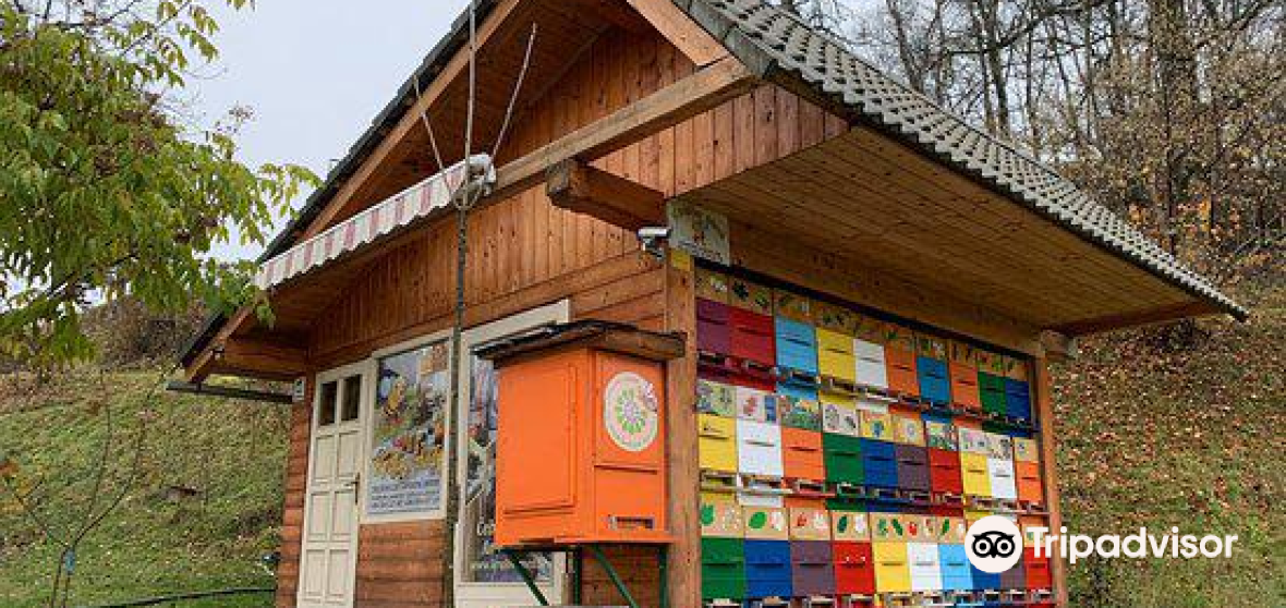 Selo pri Bledu Travel Guide 2023 - Things to Do, What To Eat & Tips ...