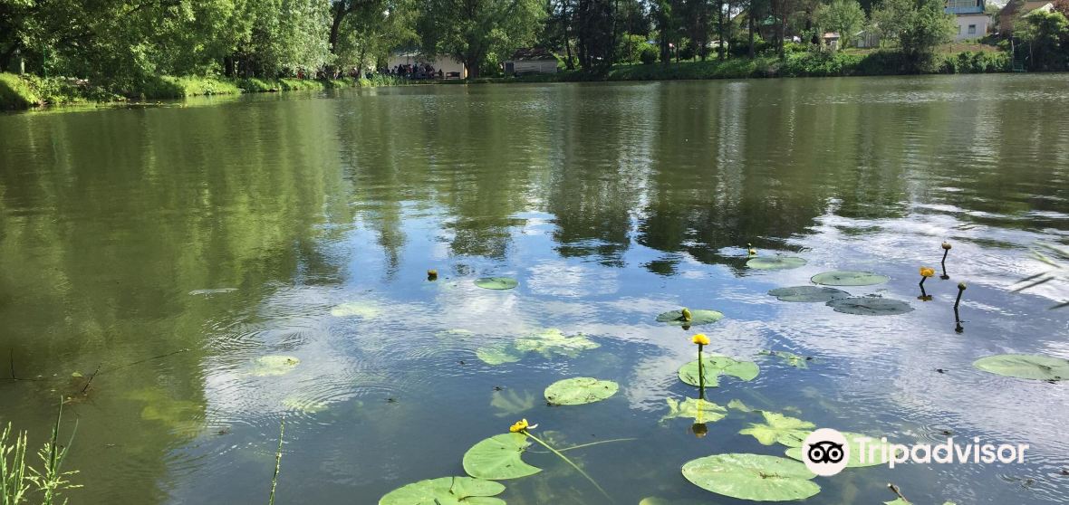 Yasnaya Polyana 2023 Top Things to Do - Yasnaya Polyana Travel Guides ...