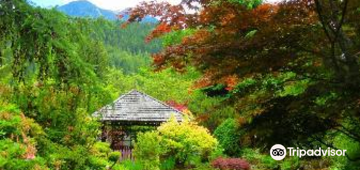 New Denver Travel Guide 2023 - Things to Do, What To Eat & Tips | Trip.com