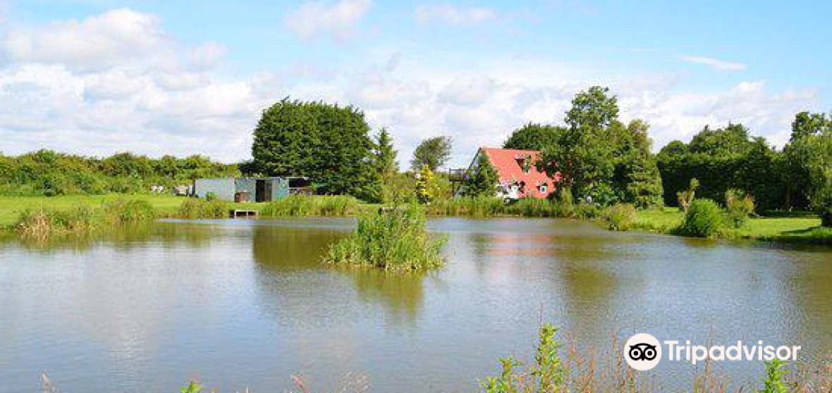 กิจกรรมน่าทำยอดนิยมในAlvinghamประจำปี 2023 - คู่มือท่องเที่ยวAlvingham ...