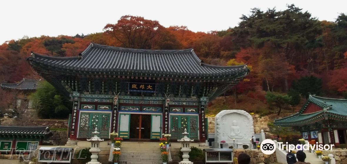 Yangpyeong-gun 2022 Top Things to Do - Yangpyeong-gun Travel Guides ...
