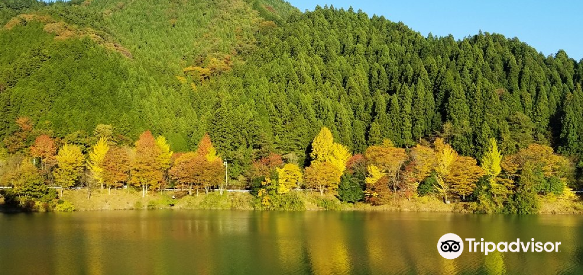 Asago Travel Guide 2023 - Things to Do, What To Eat & Tips | Trip.com