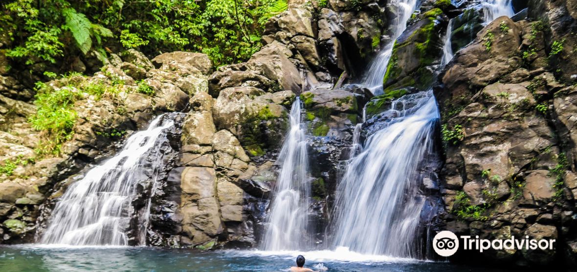 10 Best Things to do in Taveuni Island, Northern Division - Taveuni ...